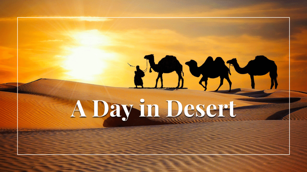 What a day in desert !! - english.onlineeducoach.com